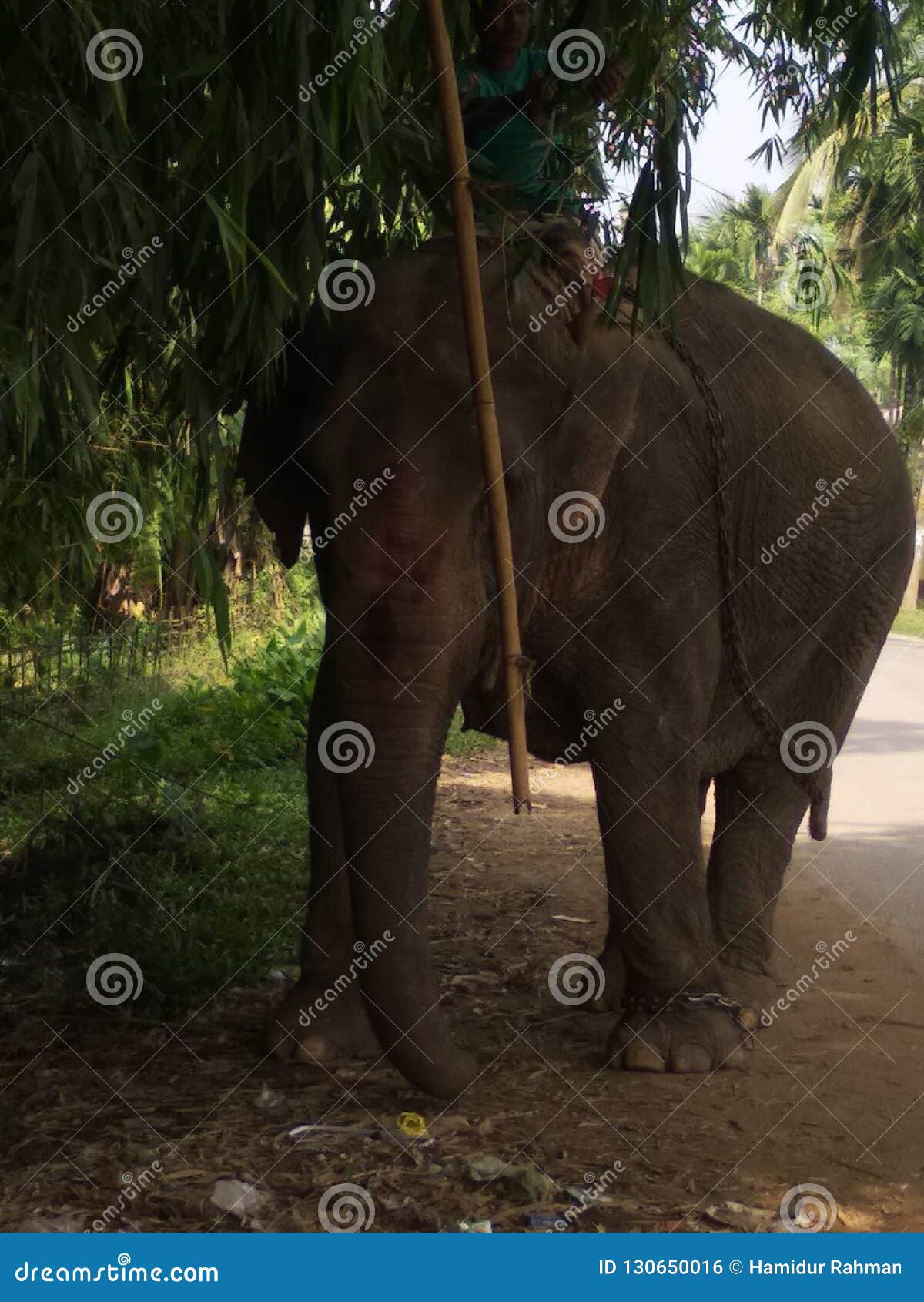 Gyani Stock Photos - Free & Royalty-Free Stock Photos from Dreamstime