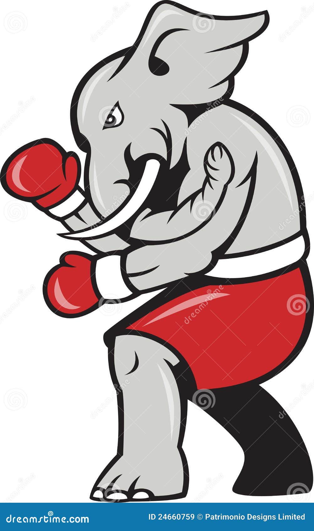 Elephant Boxer Boxing Stance Cartoon Vector | CartoonDealer.com #24660759