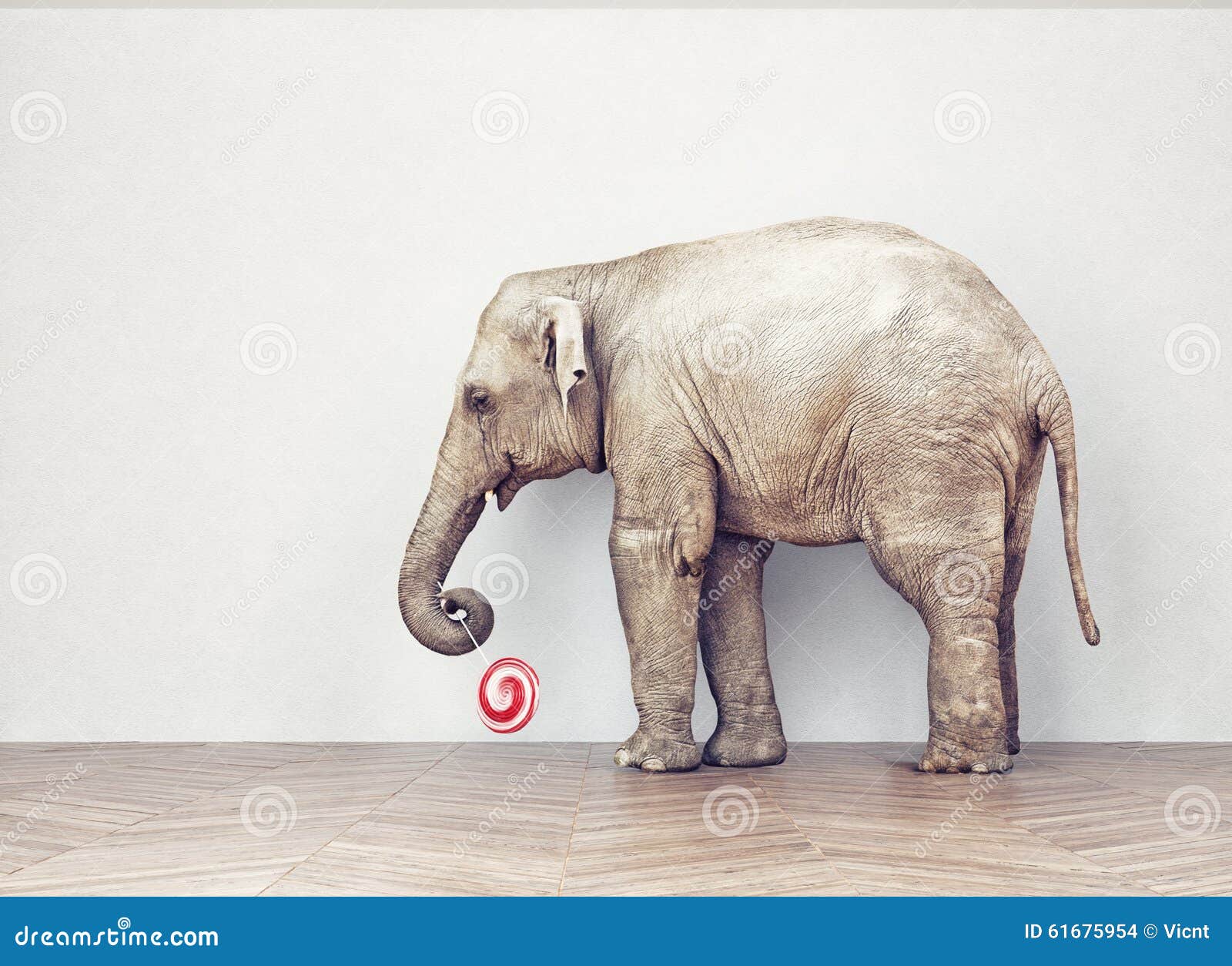 An elephant calm stock photo. Image of sweet, child, africa - 61675954