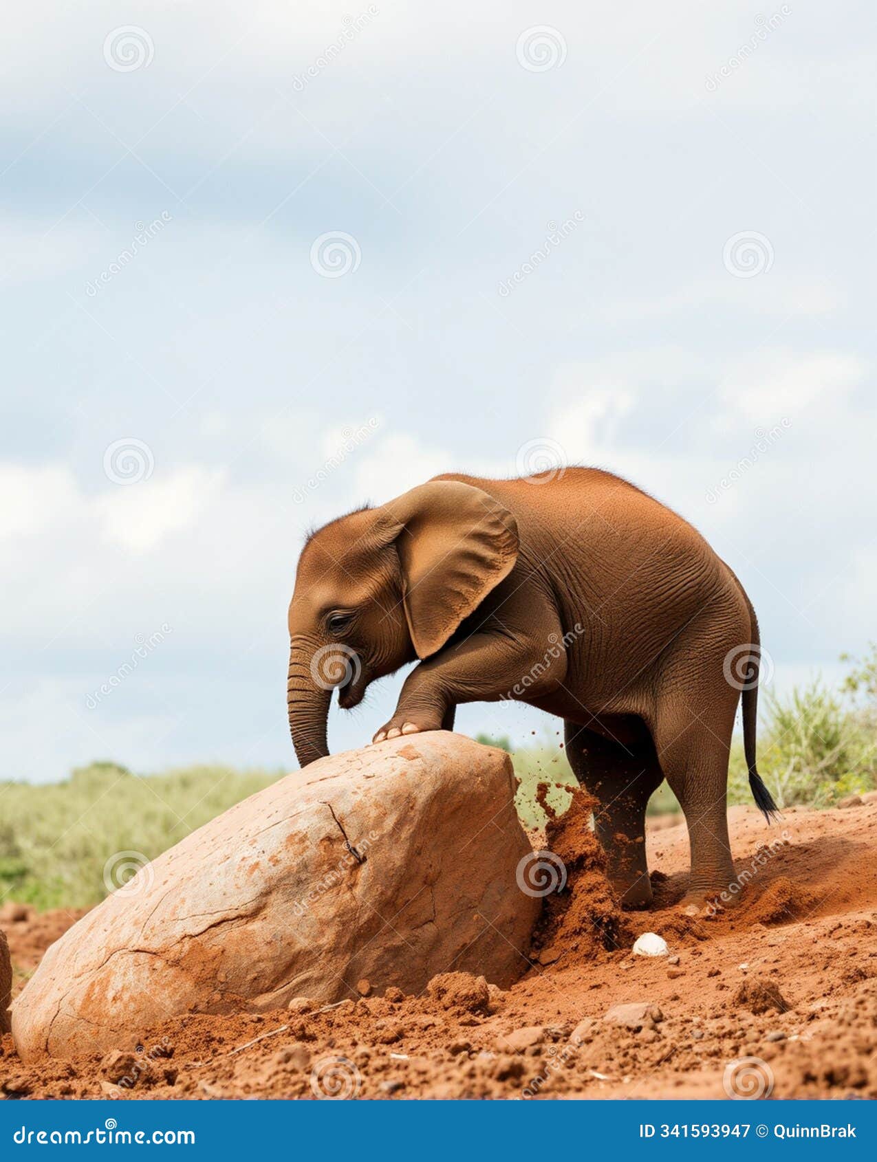 Elephant Climbing on a Stone Stock Illustration - Illustration of ...