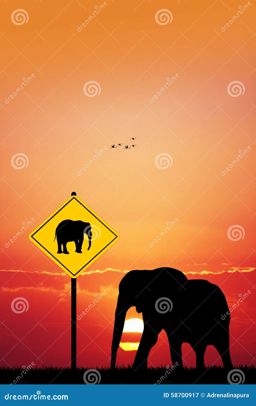 Elephant Crossing stock illustration. Illustration of attention - 58700917