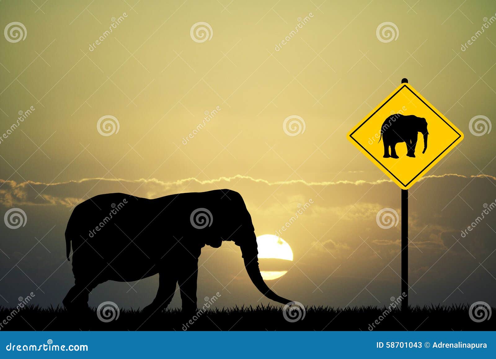 Elephant Crossing stock illustration. Illustration of attention - 58701043