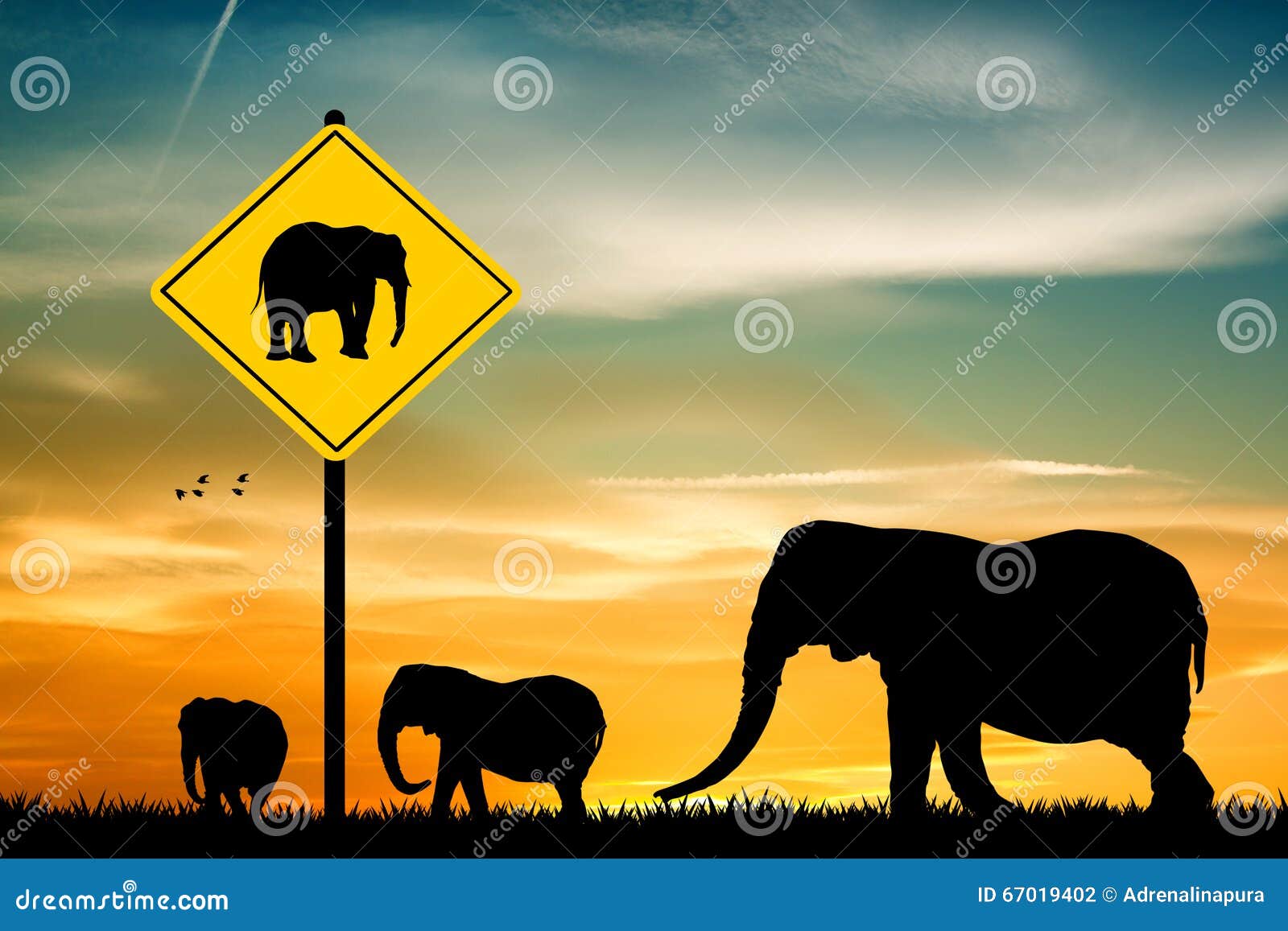 Elephant Crossing stock illustration. Illustration of sunset - 67019402