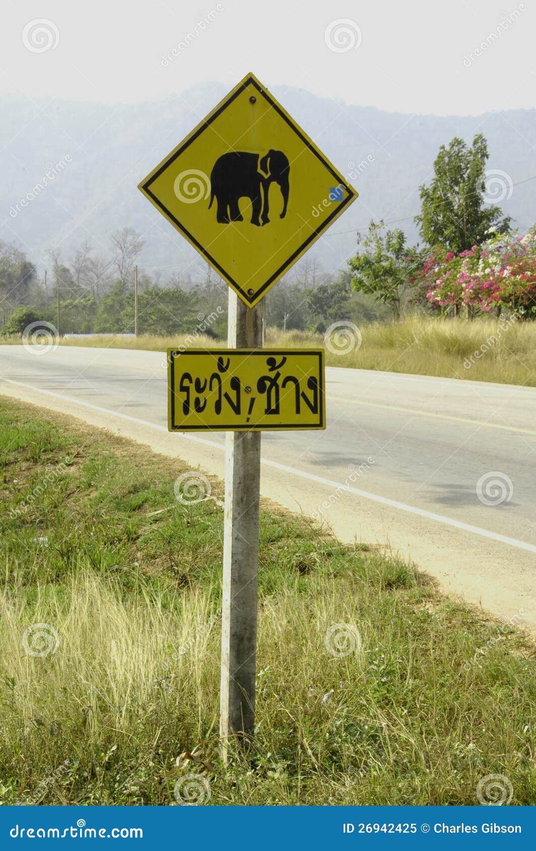 Elephant Crossing sign stock image. Image of travel, indication - 26942425