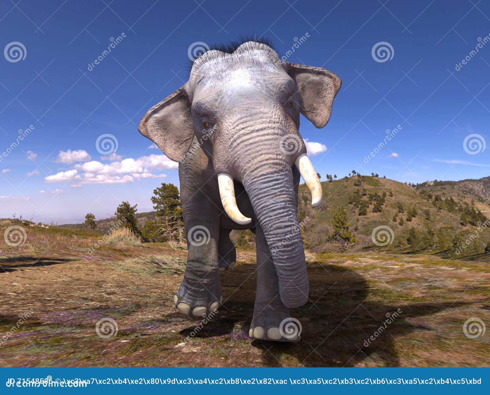 Elephant stock photo. Image of nature, elephant, african - 71548586
