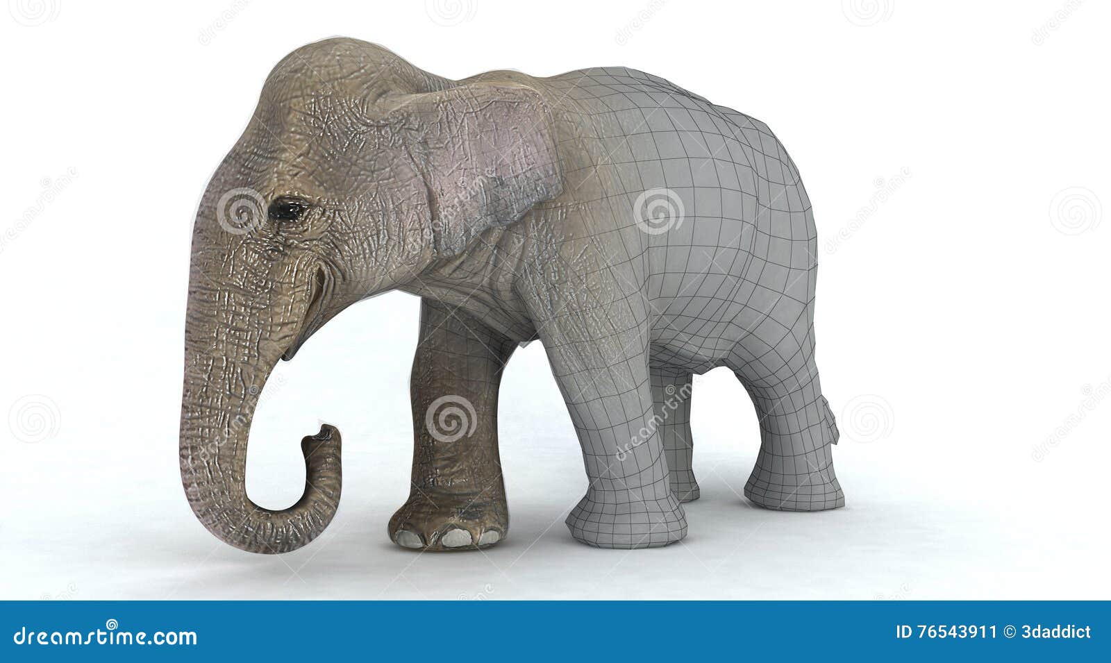 Elephant stock illustration. Illustration of real, realistic - 76543911