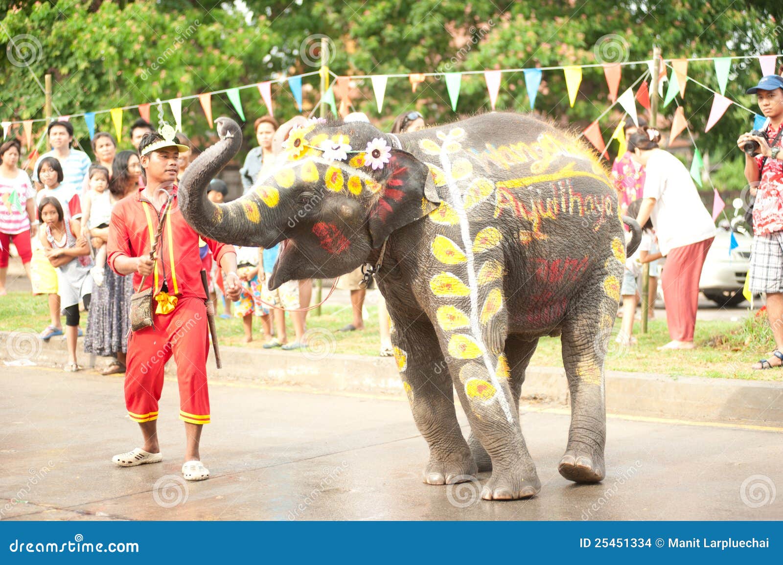 Elephant dance. editorial stock image. Image of lady - 25451334