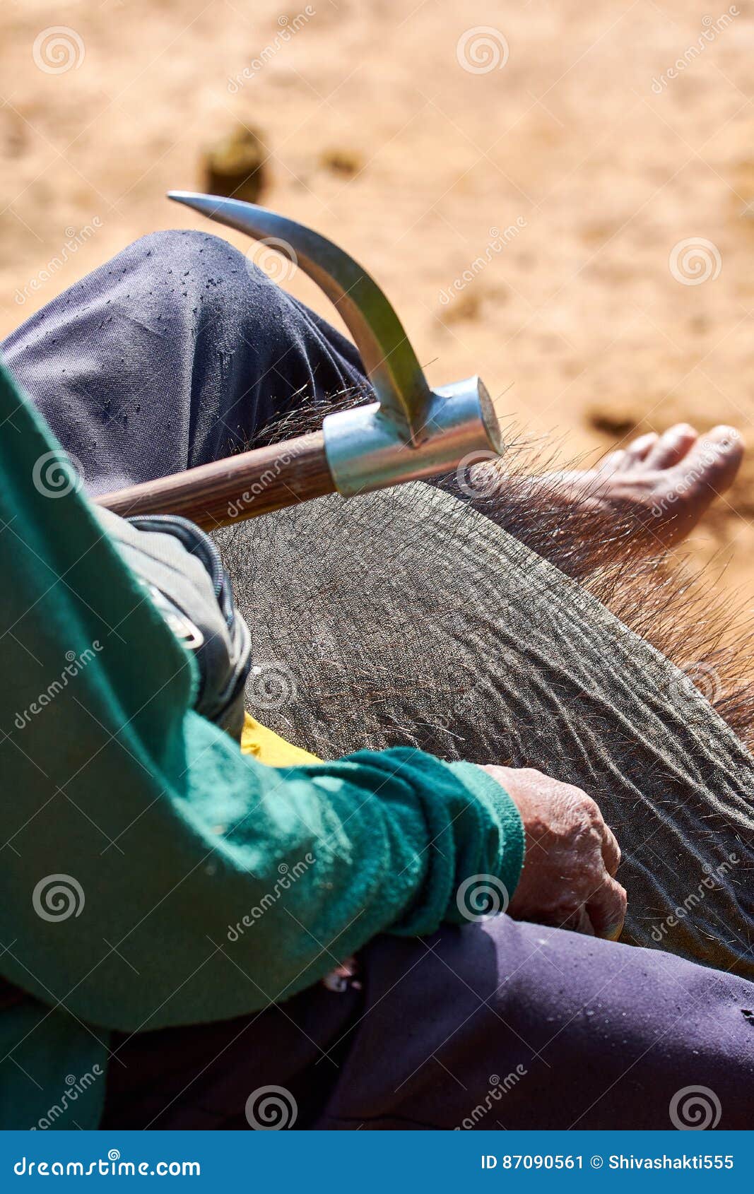 The elephant driver stock image. Image of forest, father - 87090561