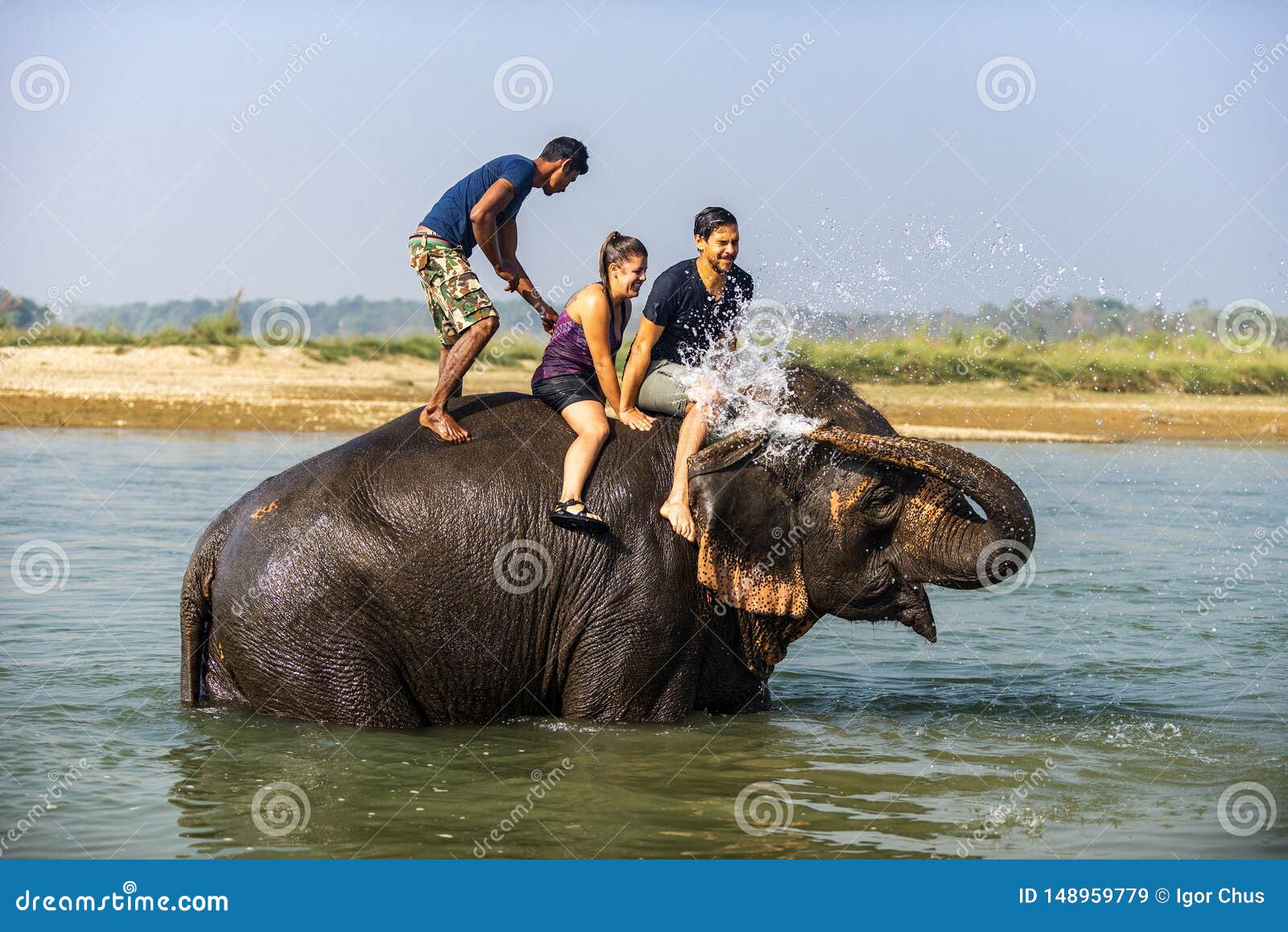 Elephant Drivers in Nepal. Chitwan National Park Editorial Stock Image ...