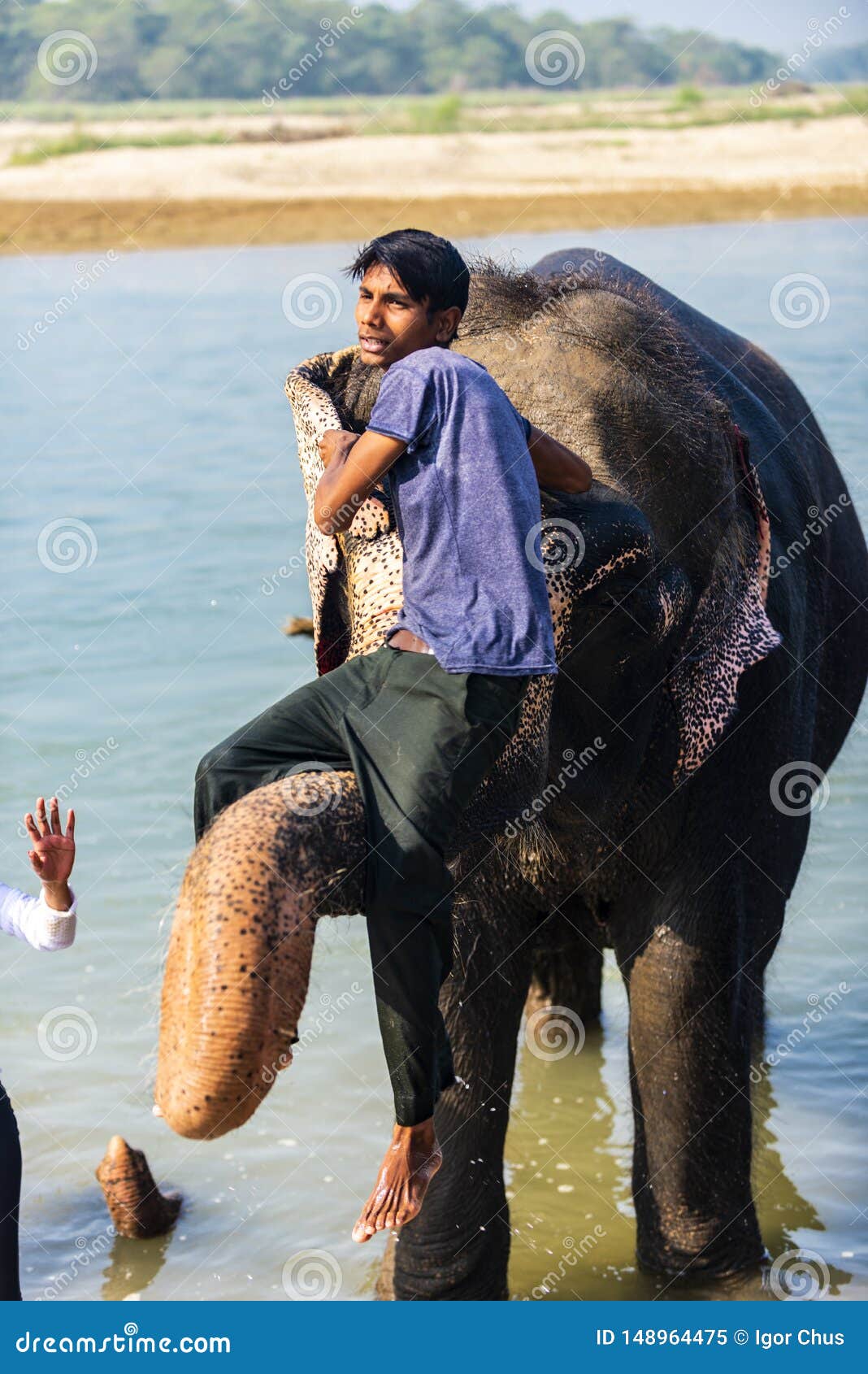 Elephant drivers in Nepal. editorial image. Image of culture - 148964475