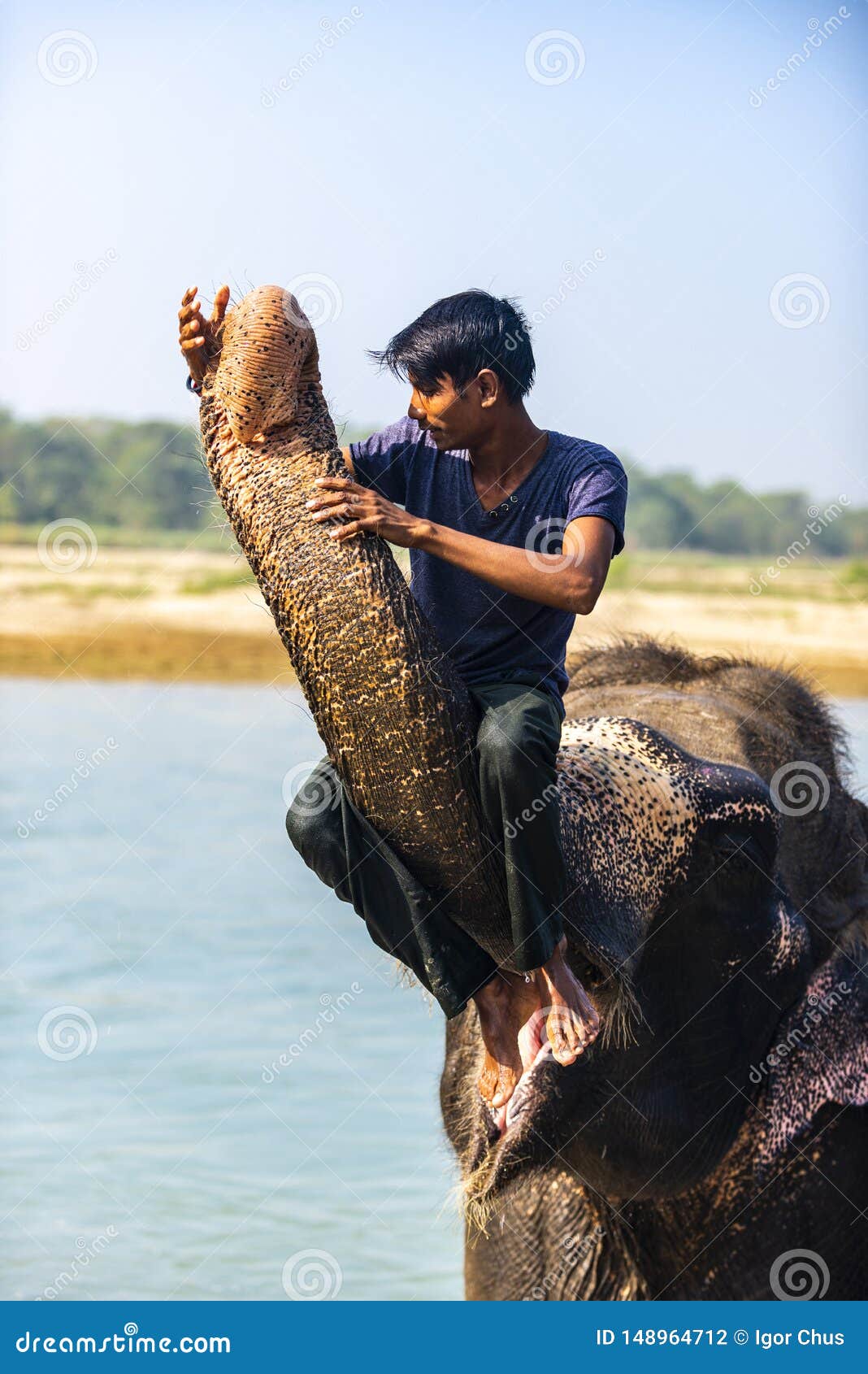Elephant Drivers in Nepal. Chitwan National Park Editorial Photography ...