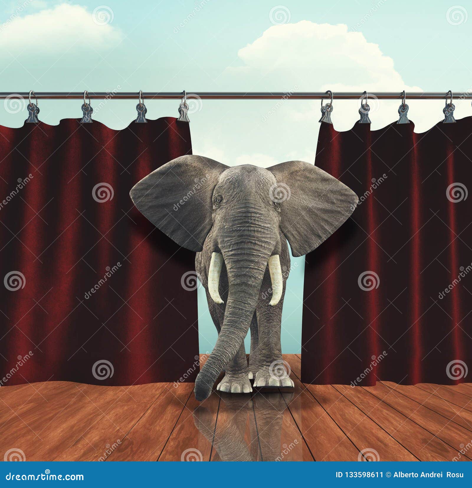 Elephant enters on stage stock image. Image of step - 133598611
