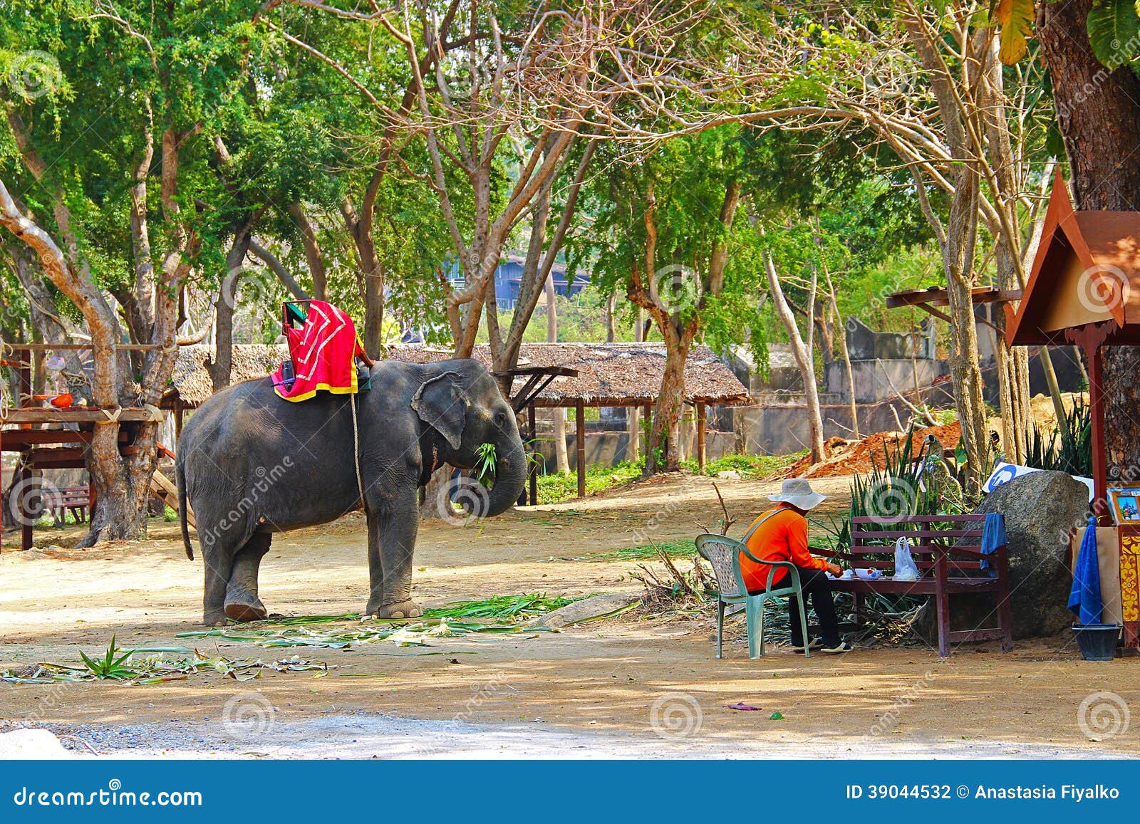 Elephant and farmer stock photo. Image of rest, thailand - 39044532