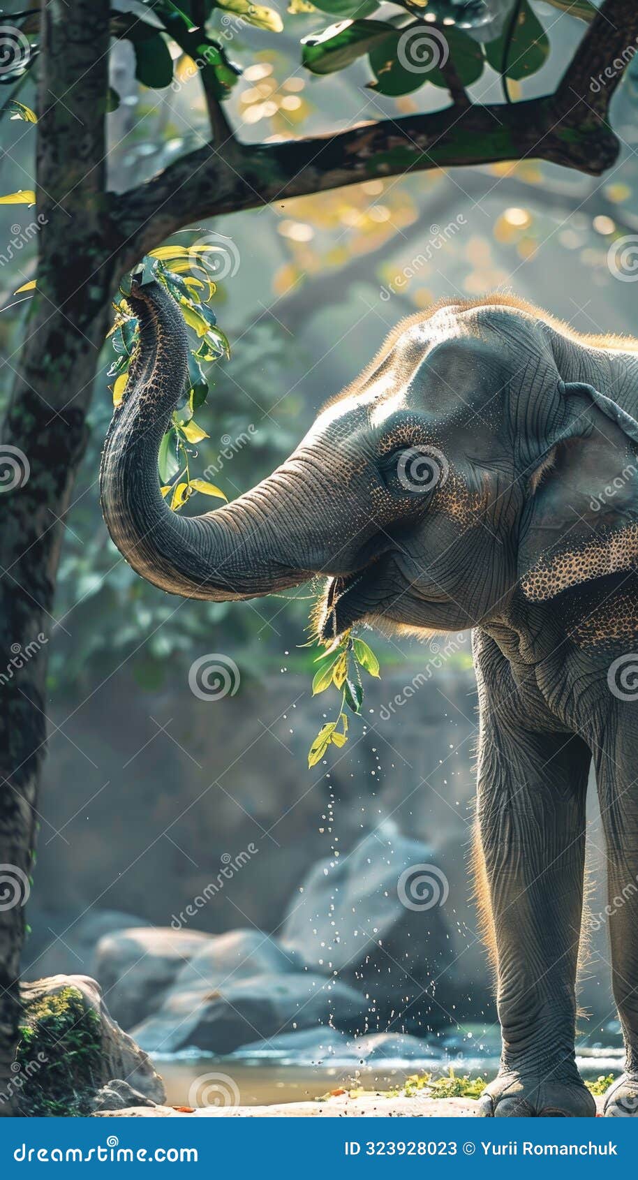 Elephant Feeding Realistic Image of Elephant Using Trunk To Eat Leaves ...