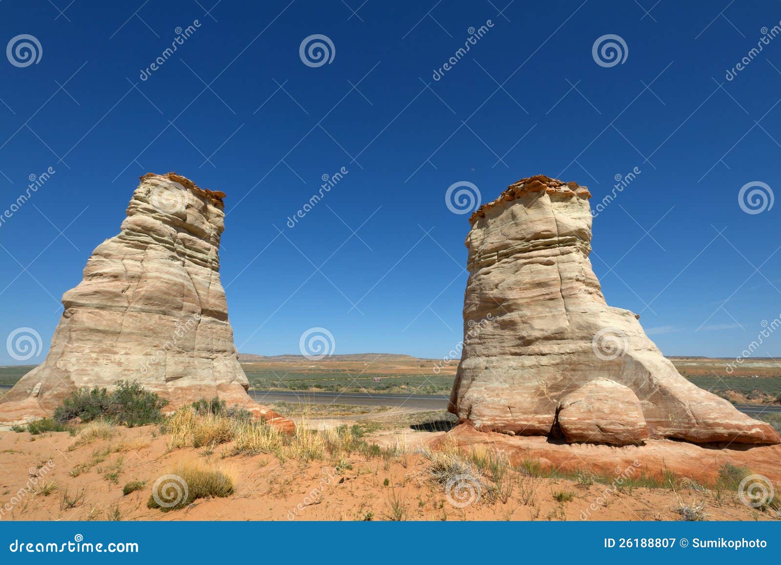 Elephant Feet stock image. Image of desert, nature, sandstone - 26188807
