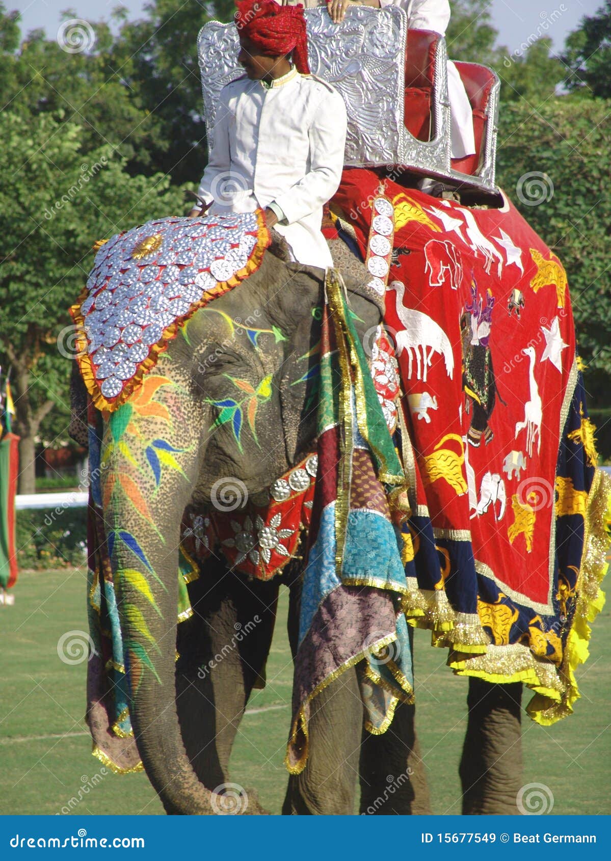 Elephant Festival, Jaipur, India Editorial Stock Image - Image of paint ...