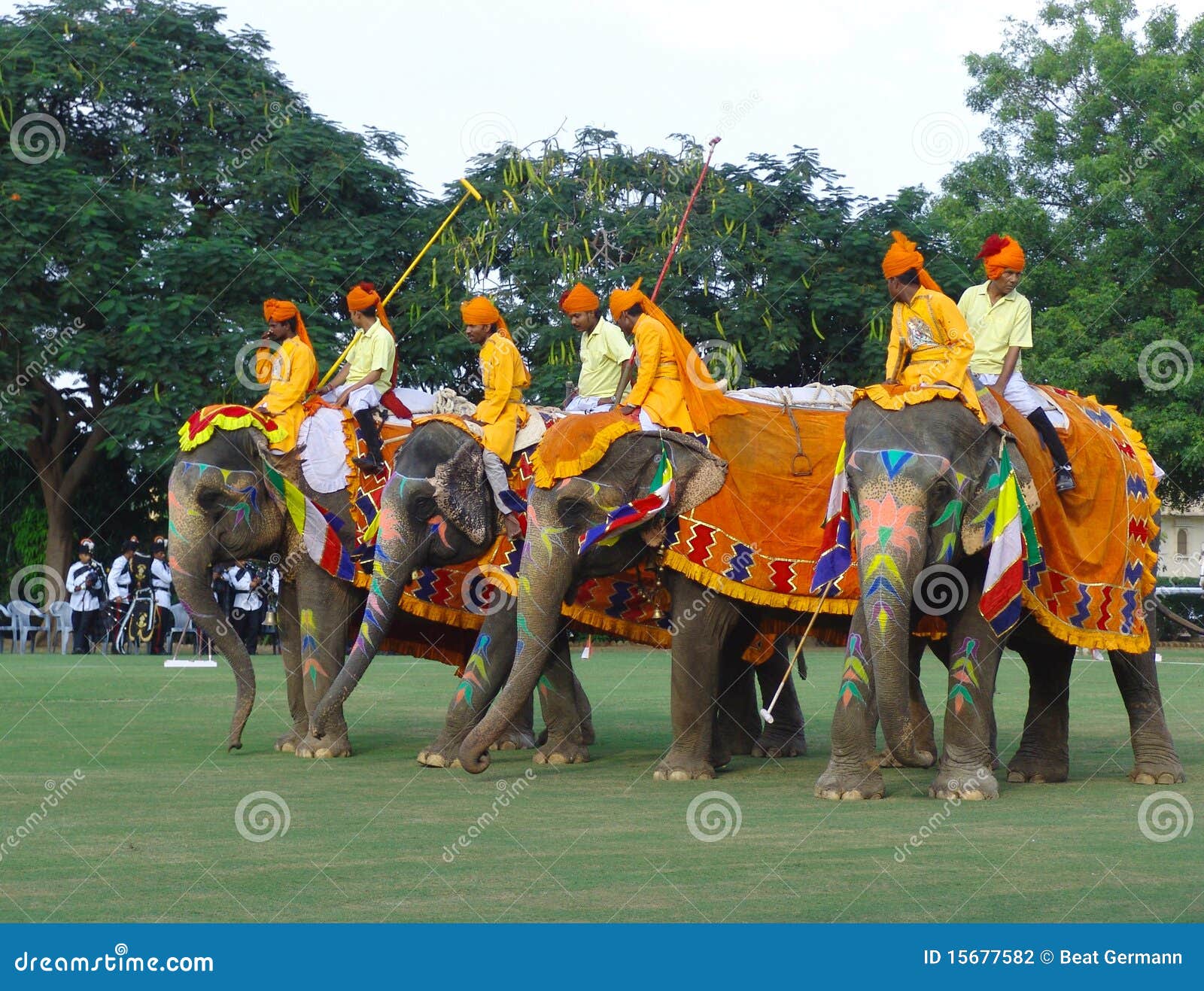 Elephant Festival, Jaipur, India Editorial Photography - Image of paint ...
