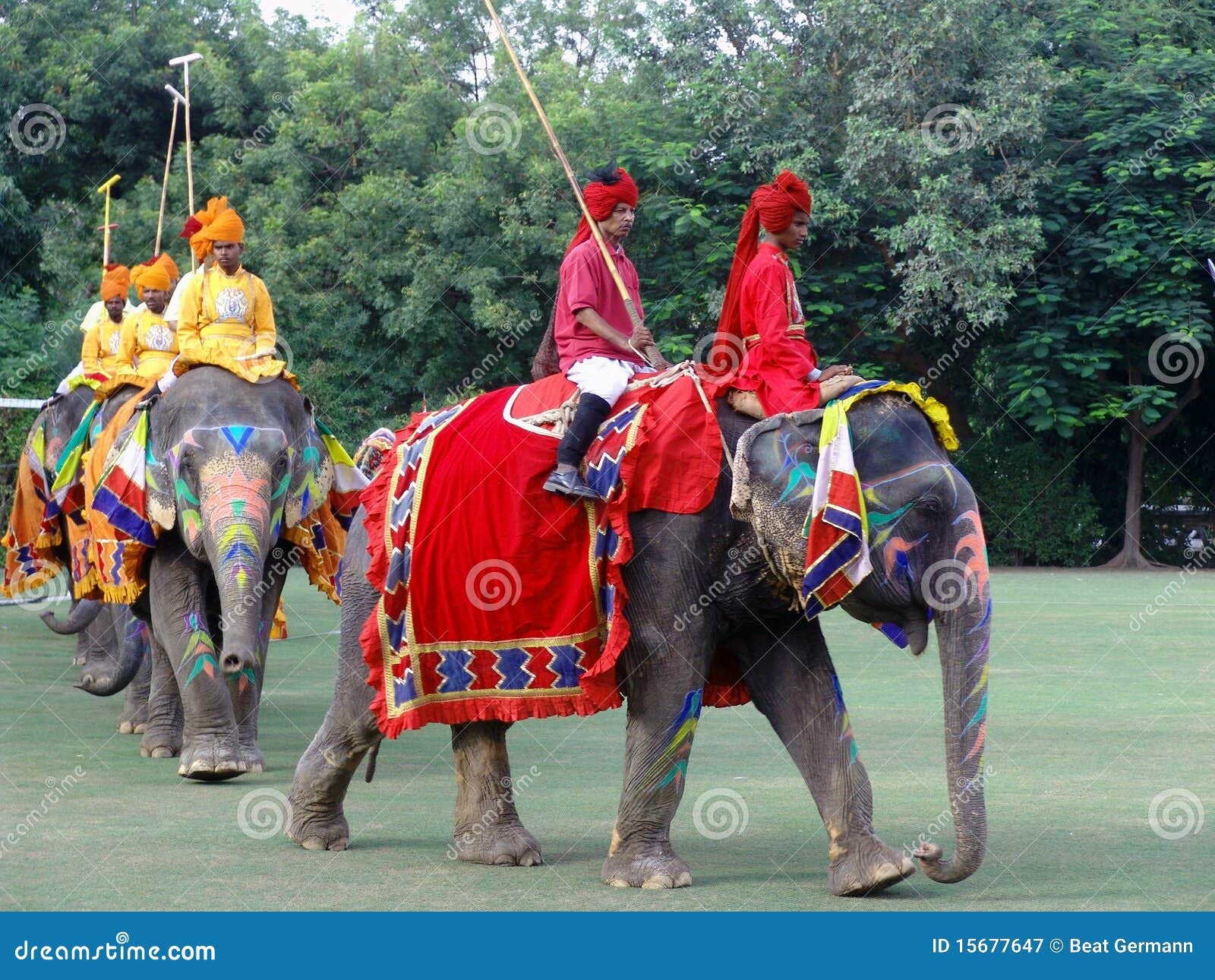 Elephant Festival, Jaipur, India Editorial Photography - Image of horse ...