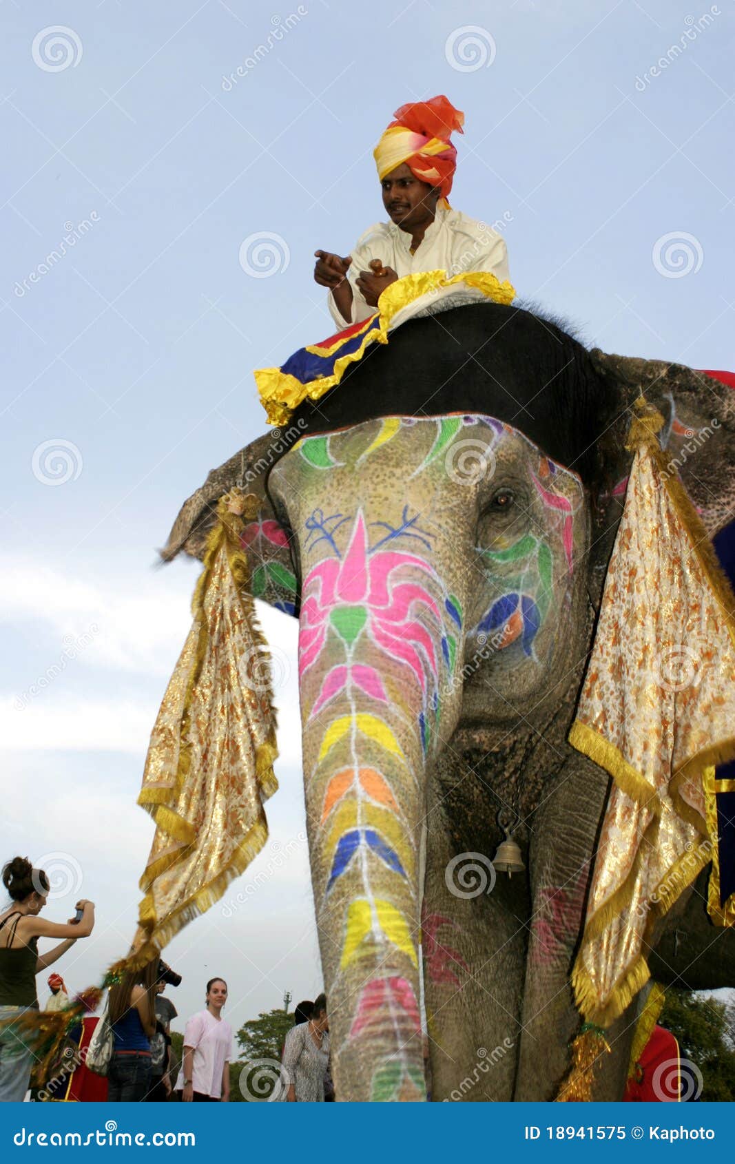 Elephant Festival, Jaipur, India Editorial Image - Image of rajasthan ...