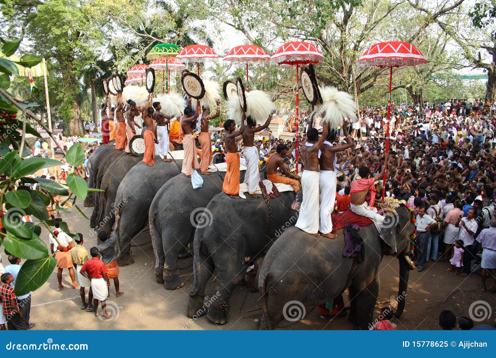 Elephant Festival of Thrissur Editorial Image - Image of puram, people ...