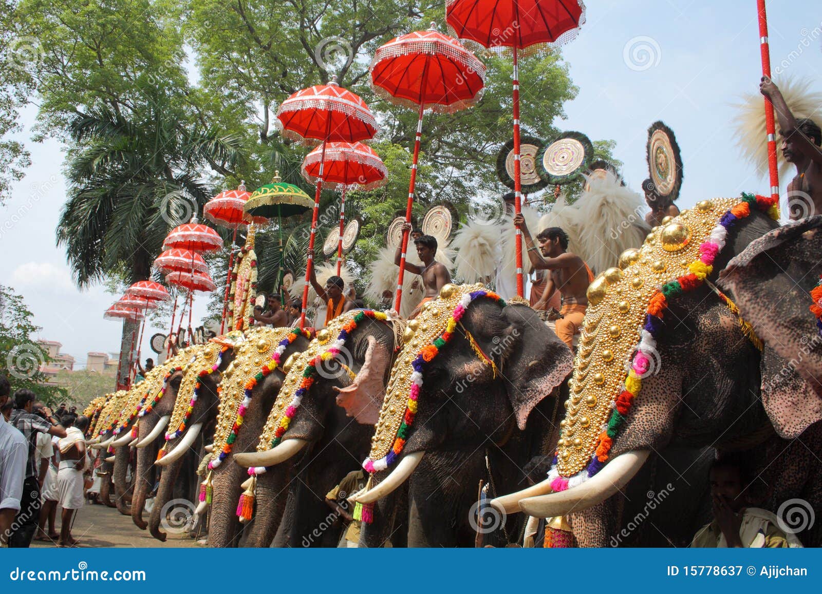 Elephant Festival of Thrissur Editorial Photography - Image of culture ...