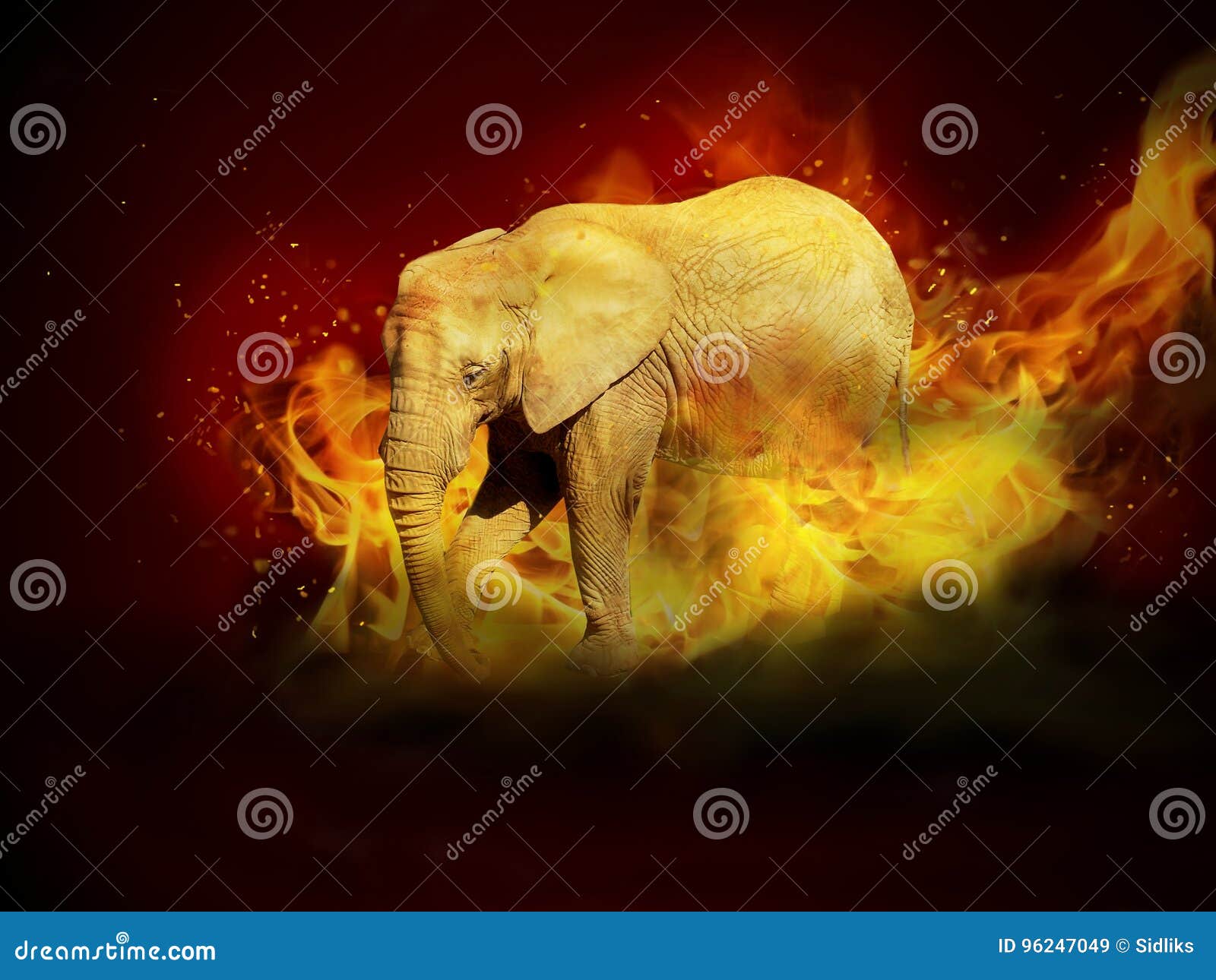 Elephant in flames stock image. Image of design, strong - 96247049