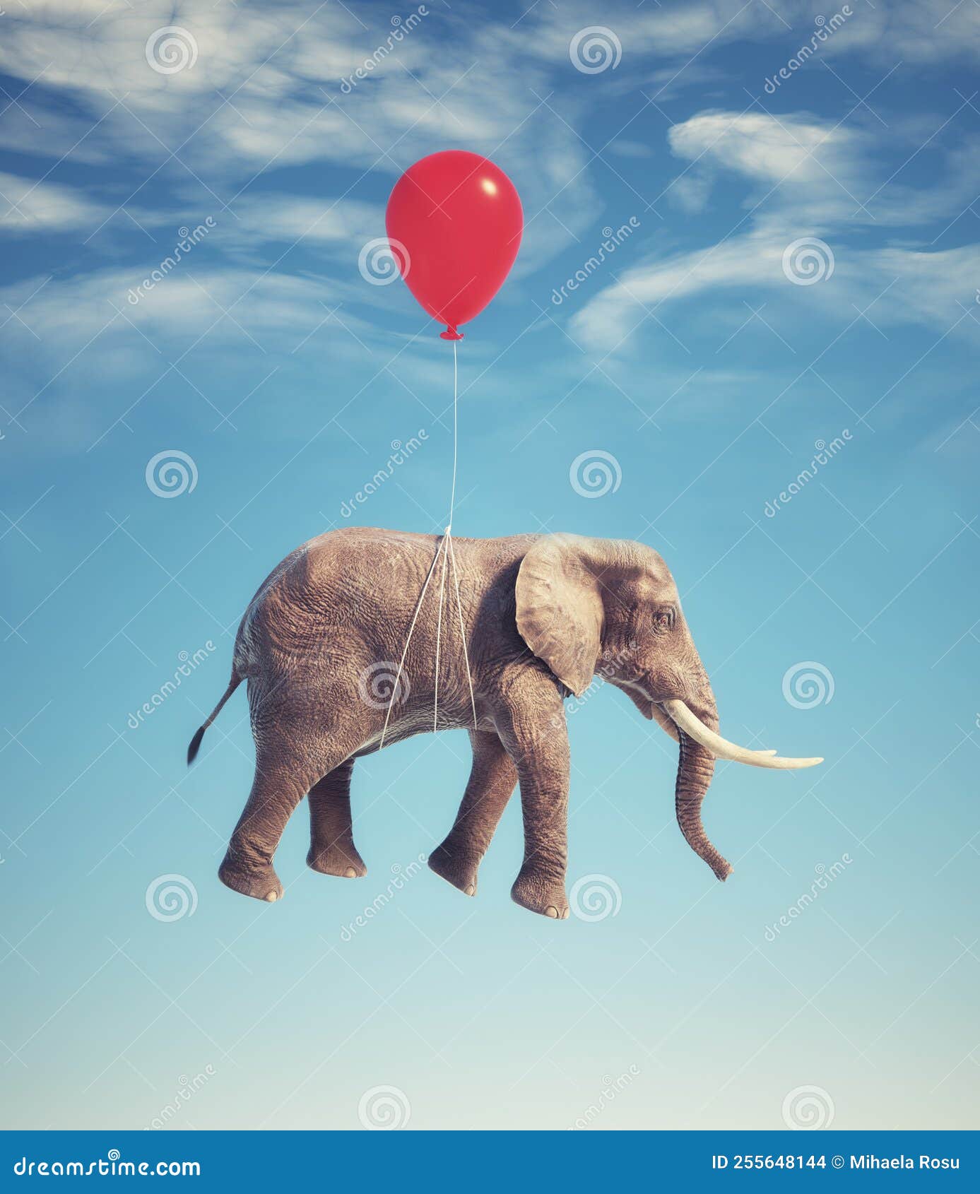 Elephant Flying with Balloons Stock Illustration - Illustration of ...