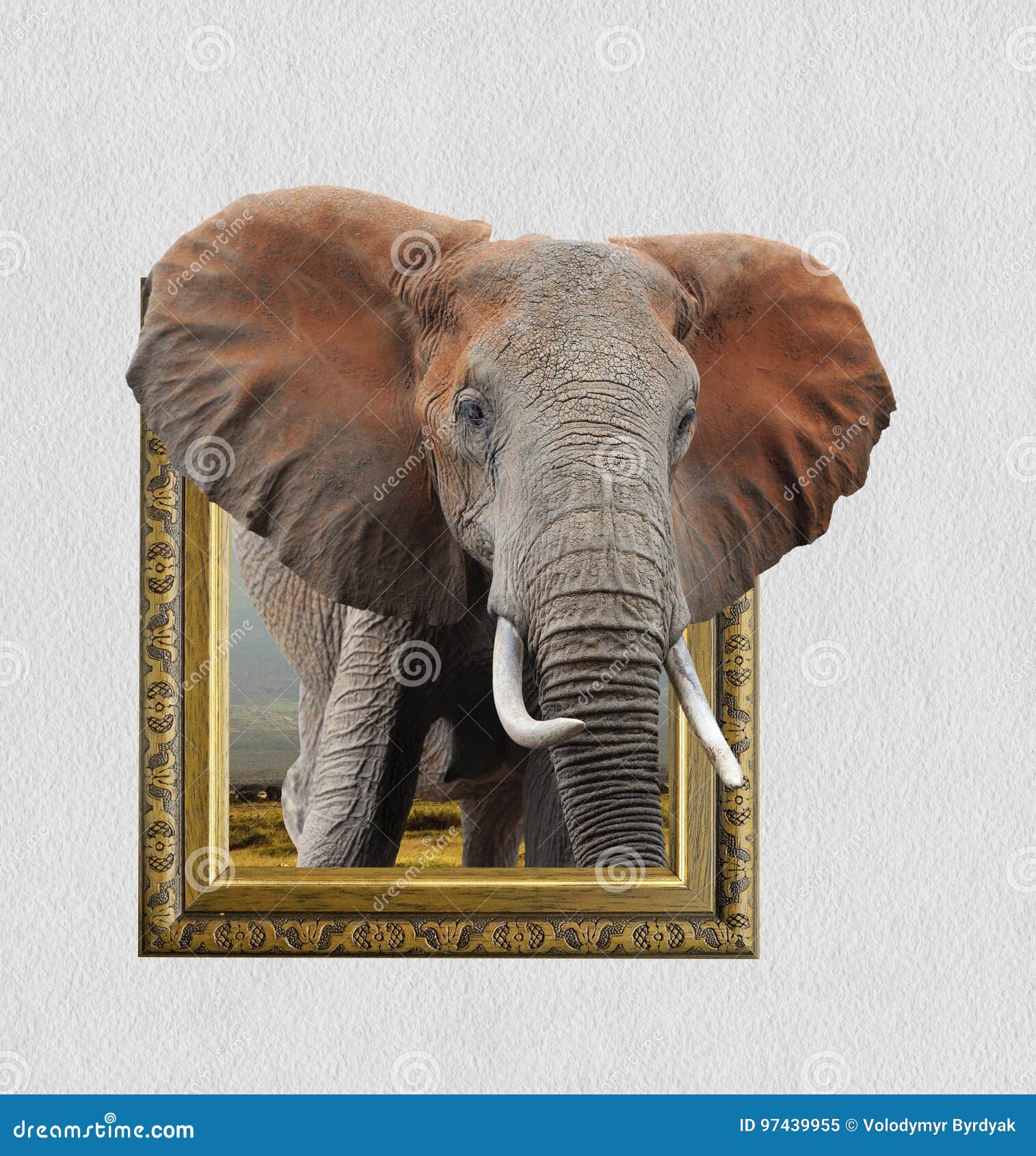 Elephant in Frame with 3d Effect Stock Image - Image of vintage, africa ...