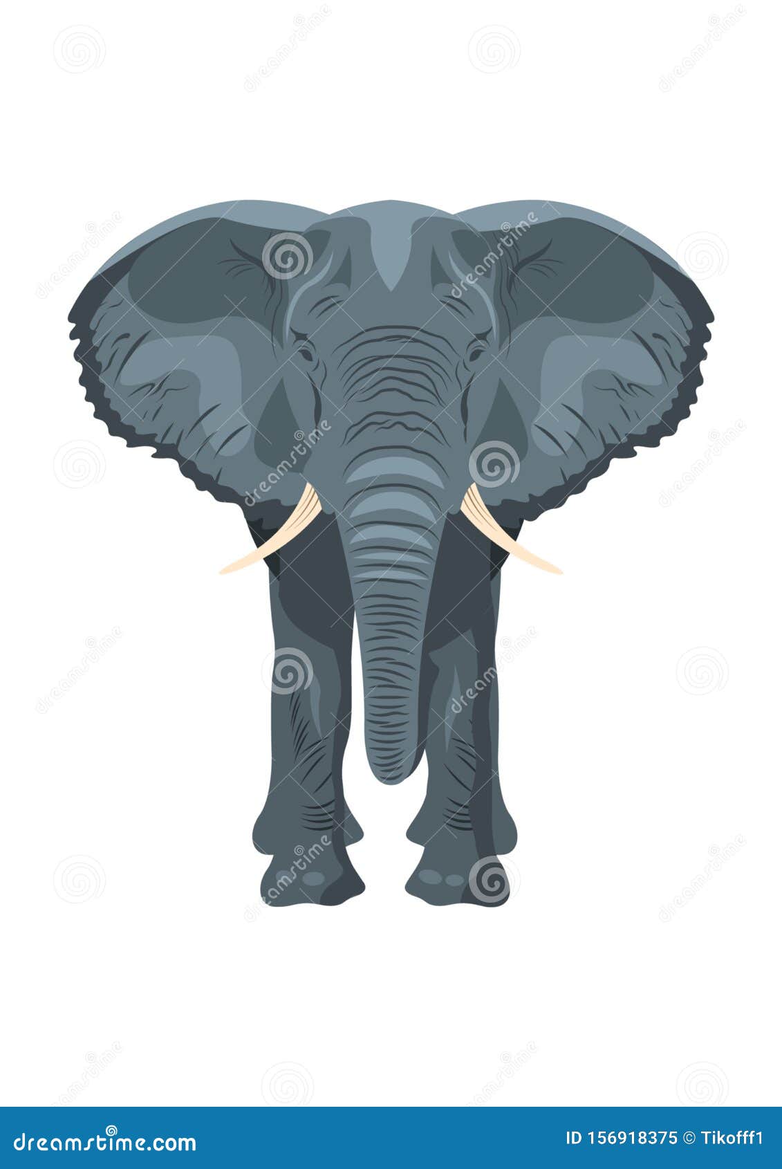 Elephant Front View, Isolated Stock Vector - Illustration of african ...