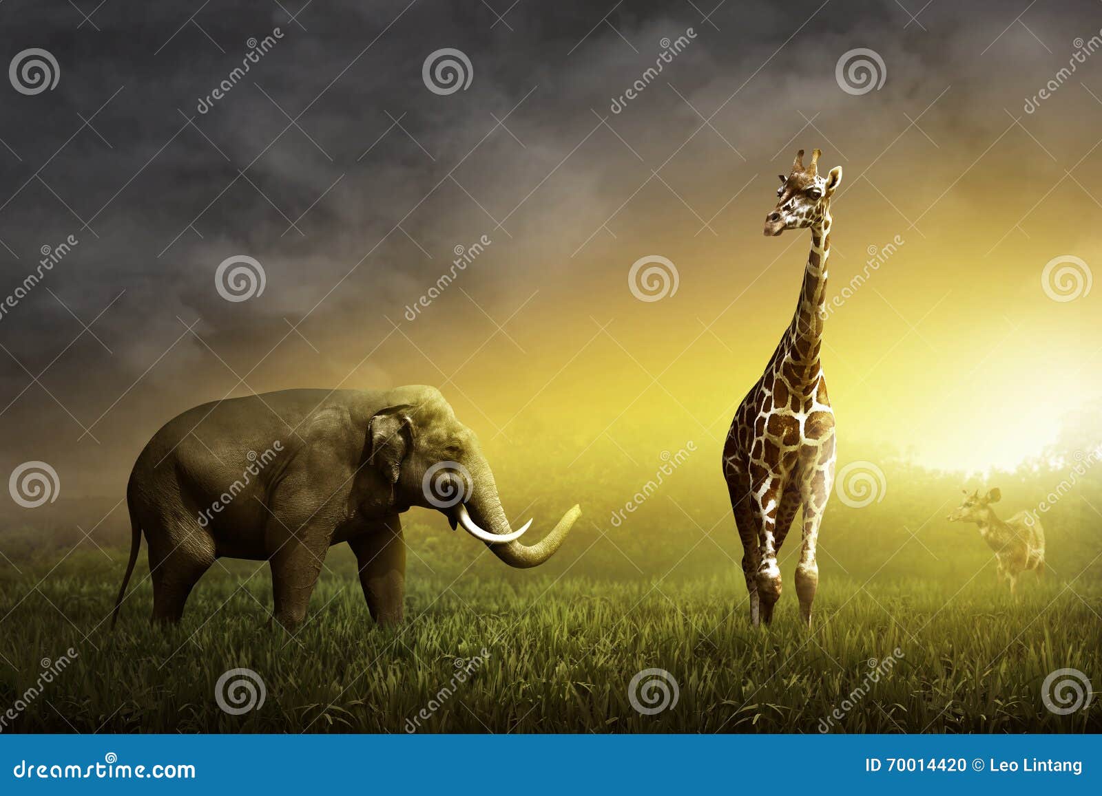 Elephant, Giraffe, and Deer on the Grassland Stock Photo - Image of ...