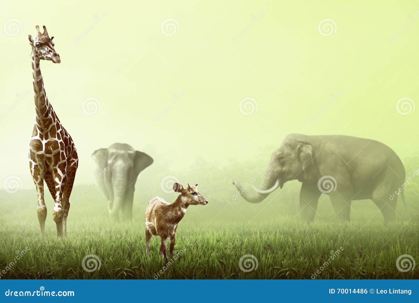 Elephant, Giraffe, and Deer on the Grassland Stock Photo - Image of ...