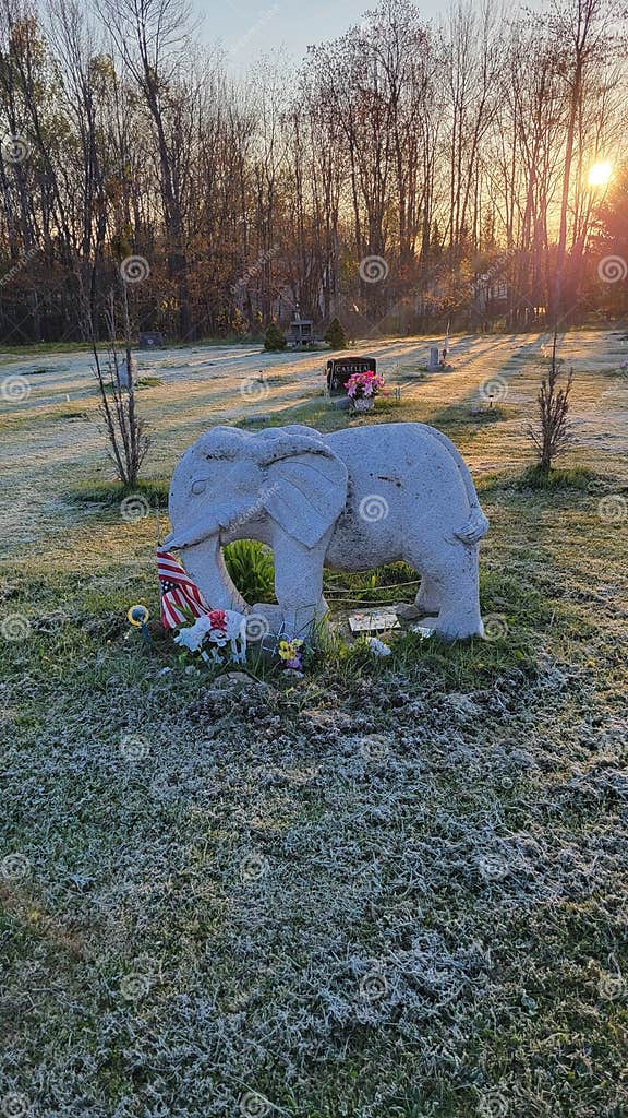 Elephant grave stone editorial stock photo. Image of elephant - 281695773