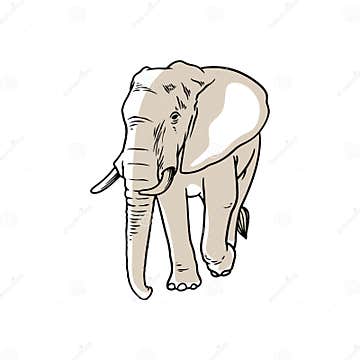 Elephant Hand Drawing Sketch Vector Stock Vector - Illustration of ...