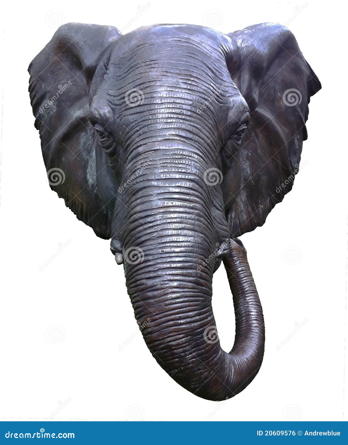 Elephant Head Close Side Profile Portrait Against Green Background ...