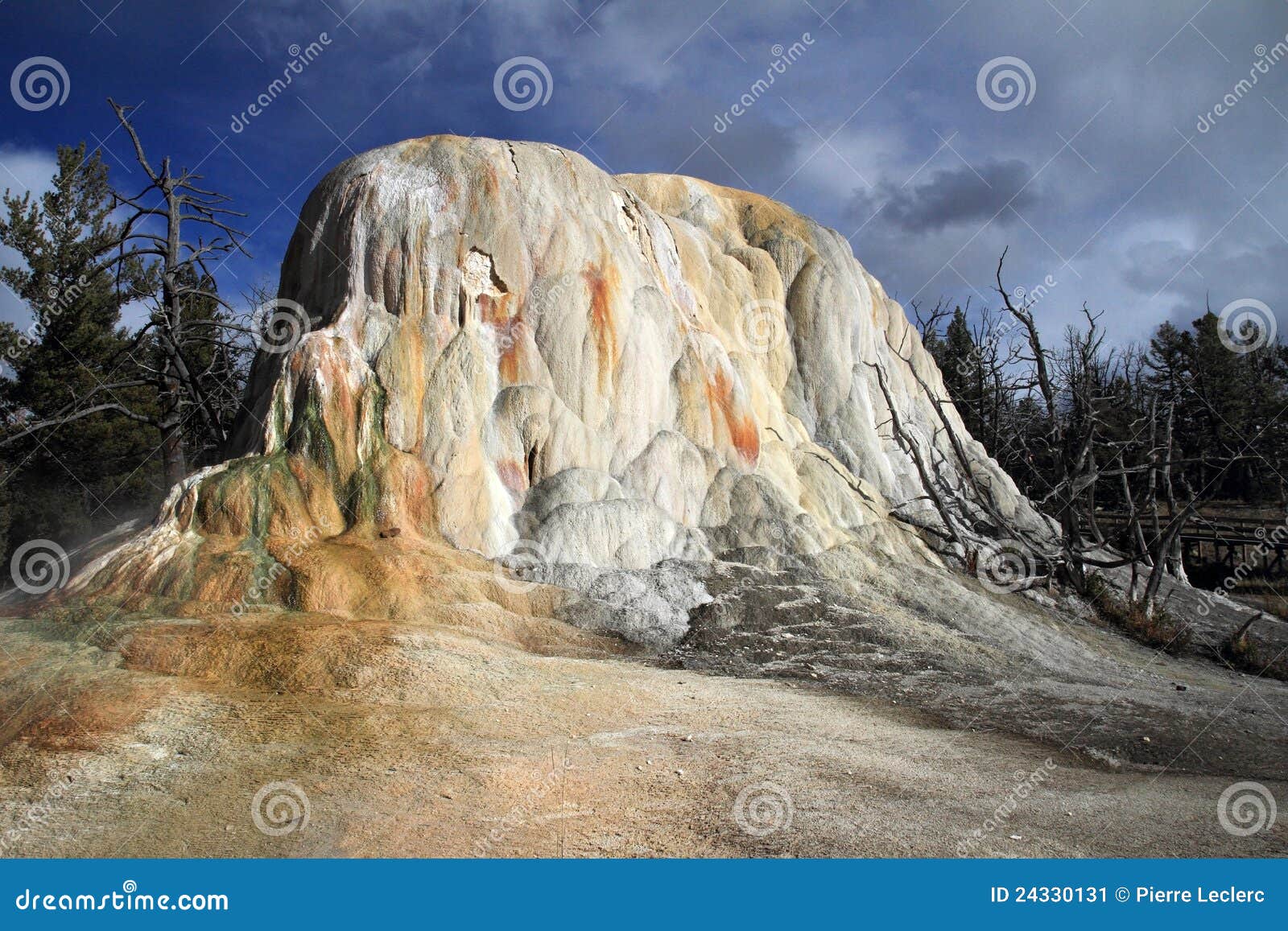 236 Elephant Springs Photos - Free & Royalty-Free Stock Photos from ...