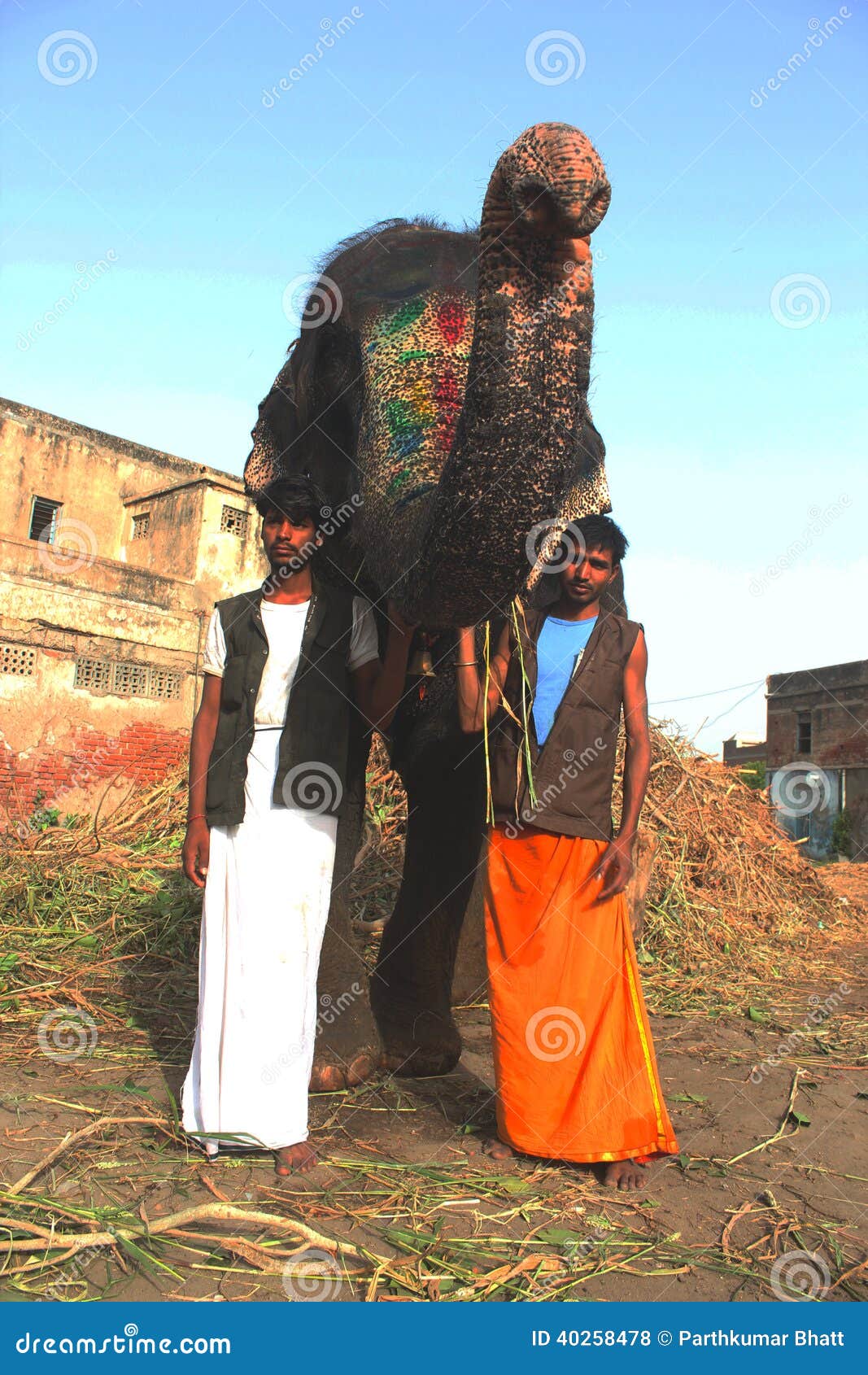 Quirky Elephant Statue Dressed In A Dutch Costume On A Boat In Front Of ...
