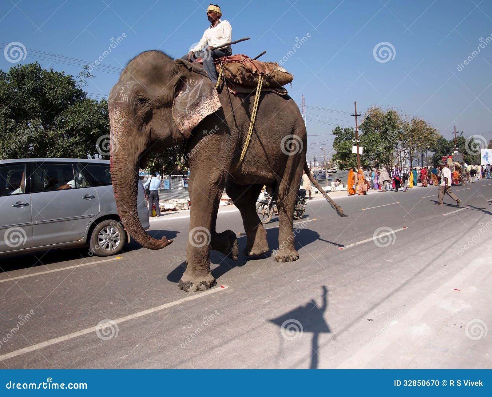 Indian Mahout Train The Elephant Editorial Photo | CartoonDealer.com ...