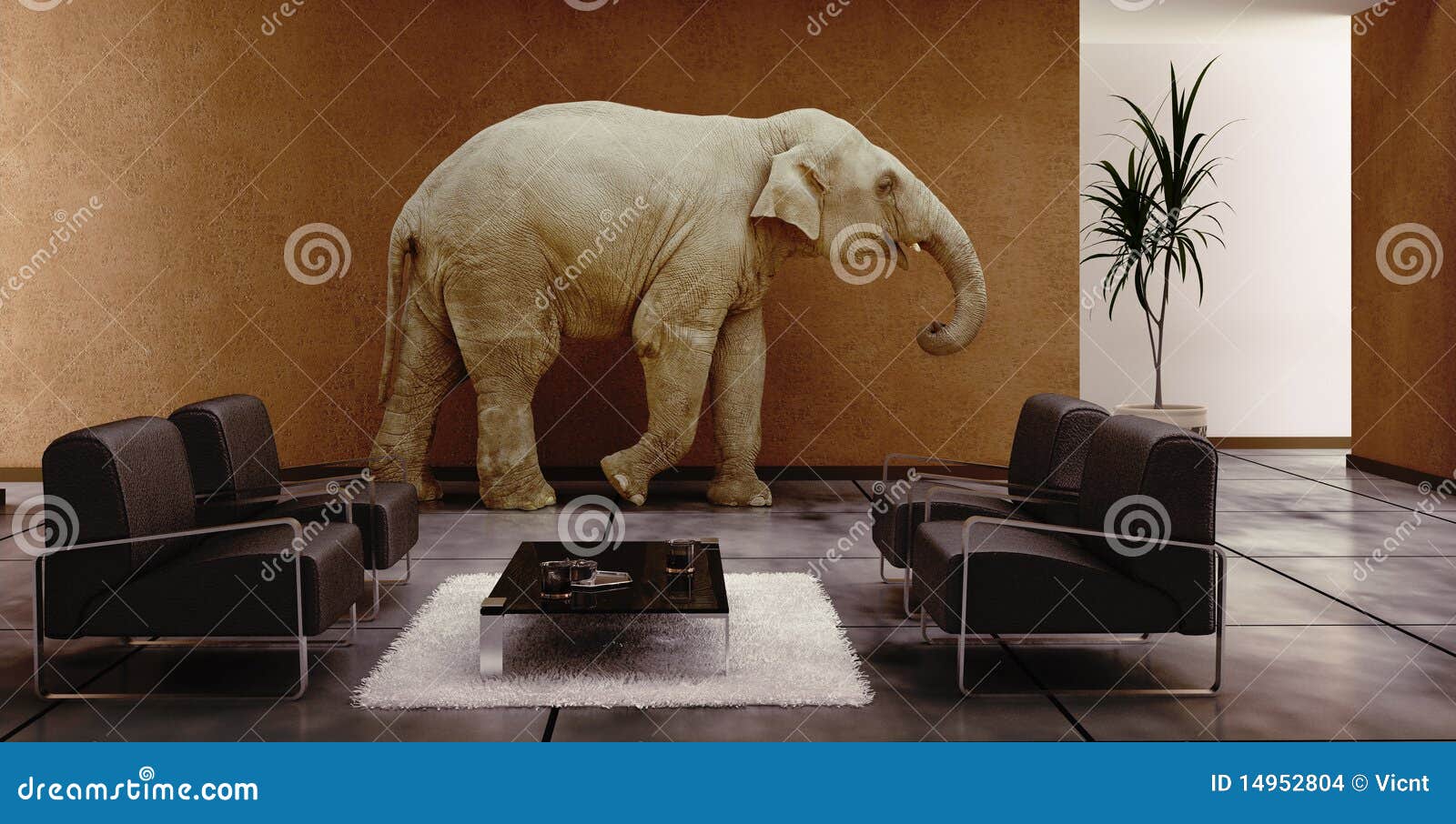 Elephant indoor stock photo. Image of house, armchair - 14952804