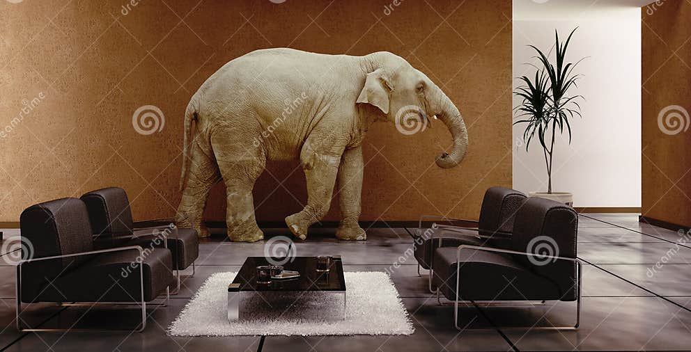 Elephant indoor stock photo. Image of house, armchair - 14952804