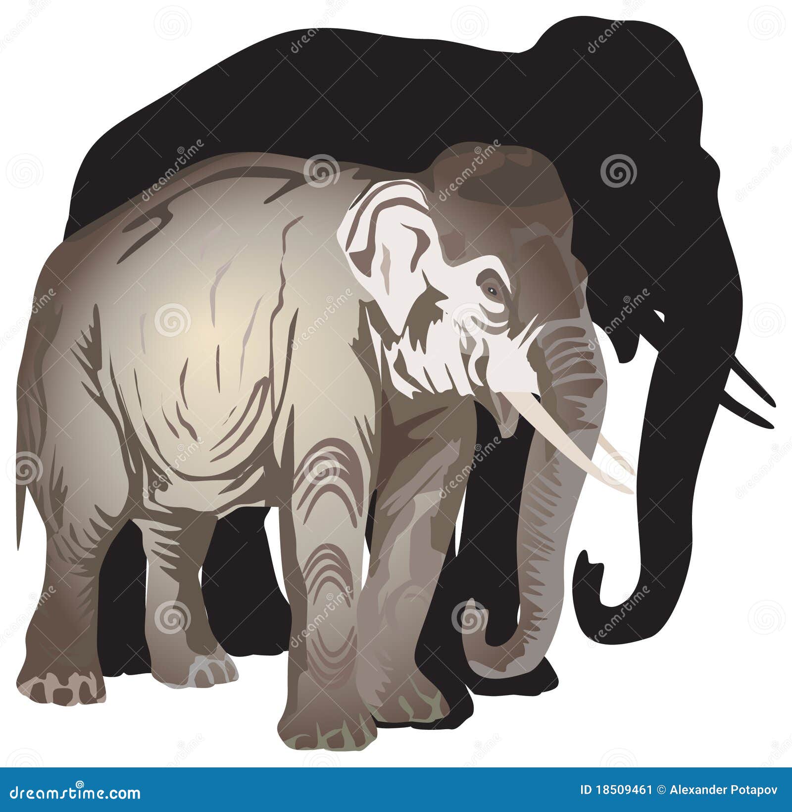 Elephant and Its Shadow Illustration Stock Vector - Illustration of ...