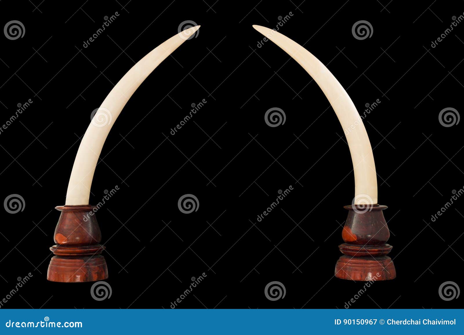 Elephant Ivory Craved Model Of Sitting Emperor Isolated On White ...