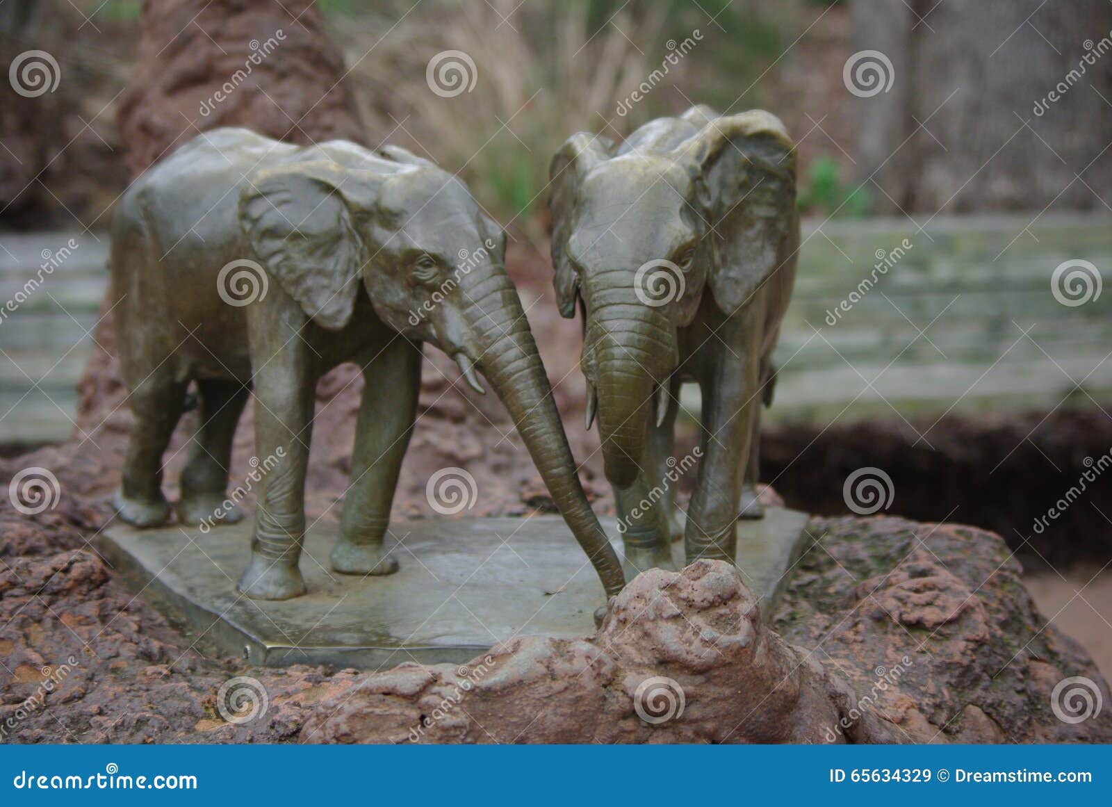 Elephant love stock image. Image of suprised, beauty - 65634329