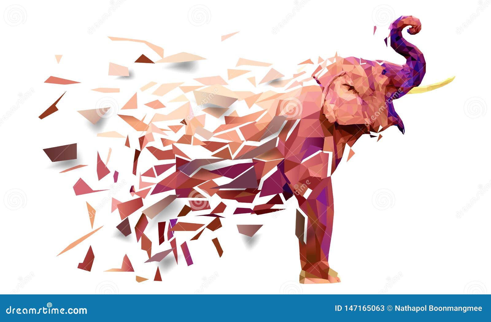 Elephant Low Poly Multicolored,Geometric Pattern Design, Eps10 Vector ...