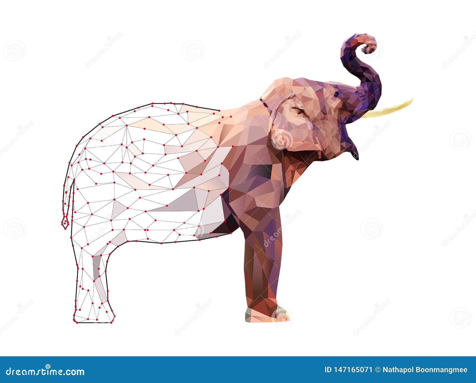 Elephant Low Poly Multicolored,Geometric Pattern Design, Eps10 Vector ...