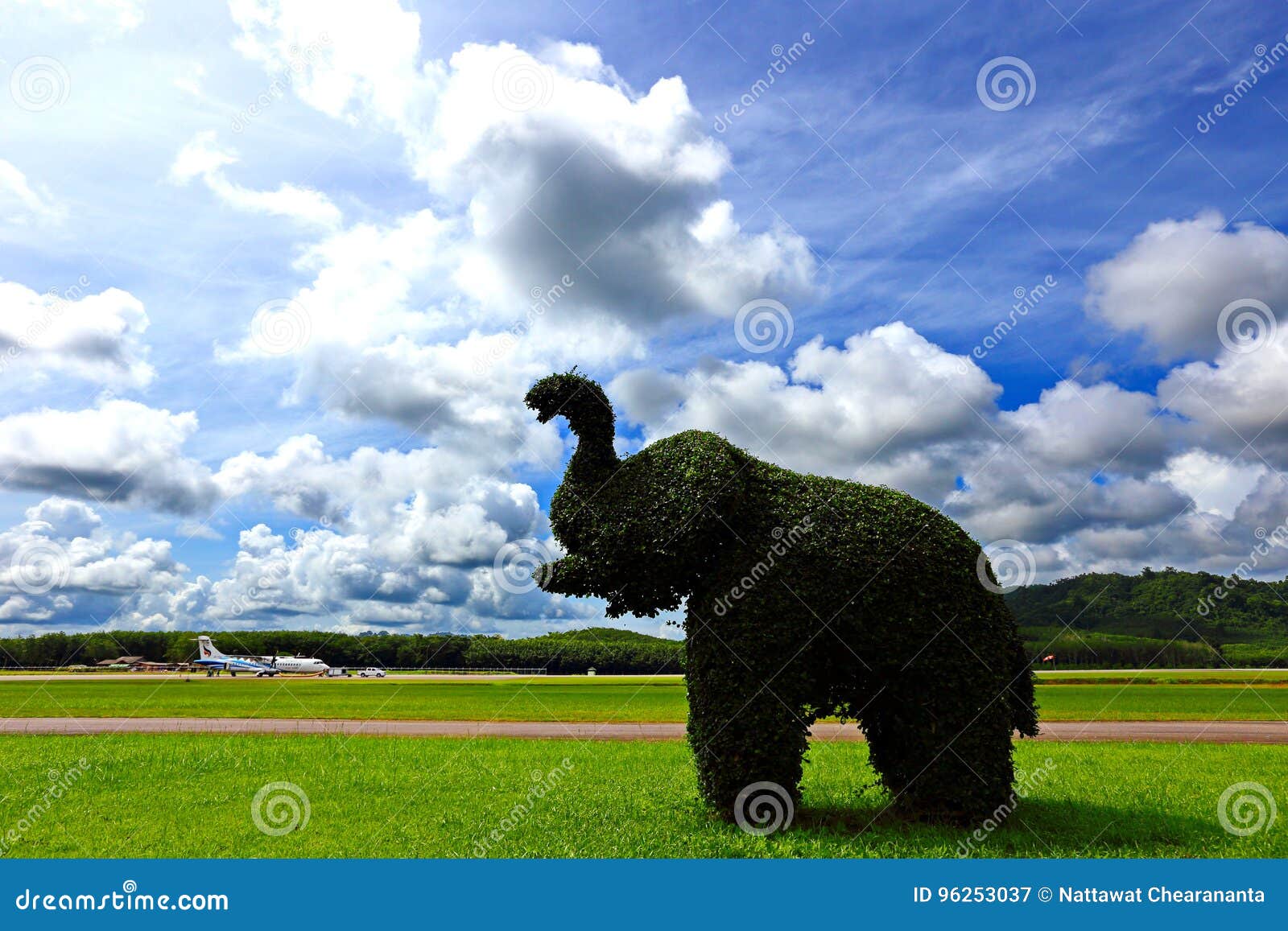 Bending Elephant Trees Stock Photography | CartoonDealer.com #43500194