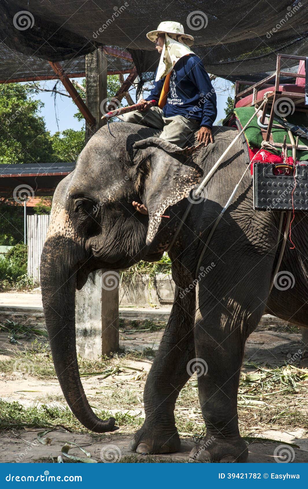 An elephant and a mahout editorial photography. Image of small - 39421782