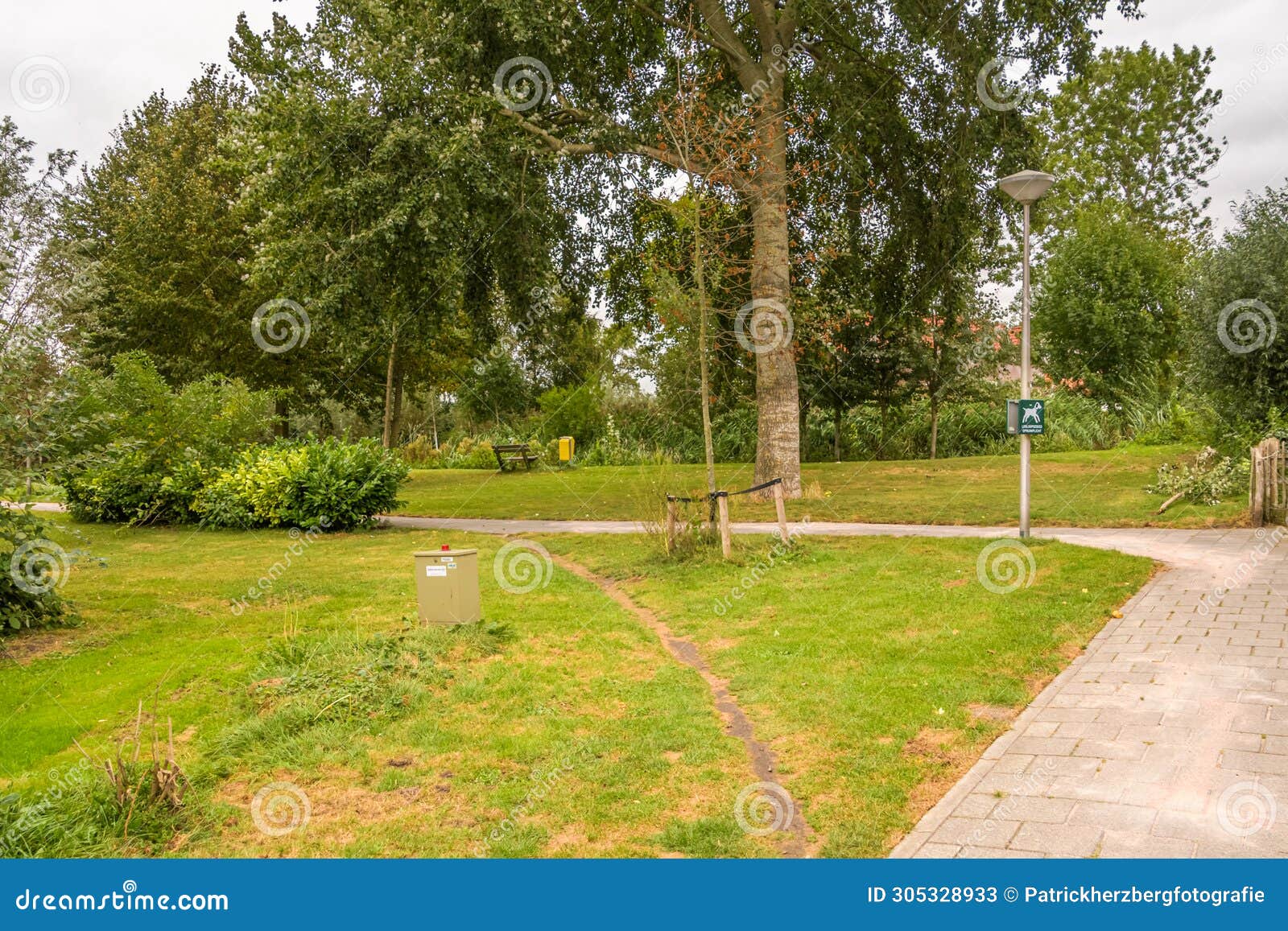 Elephant path editorial stock photo. Image of culture - 305328933