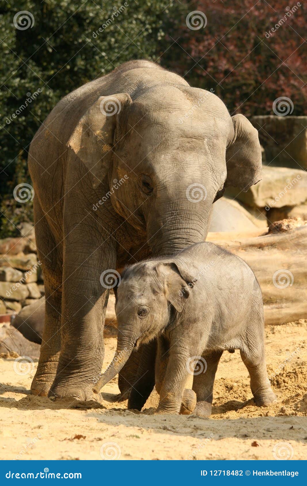 Elephant Playing In The Mud Royalty-Free Stock Photo | CartoonDealer ...