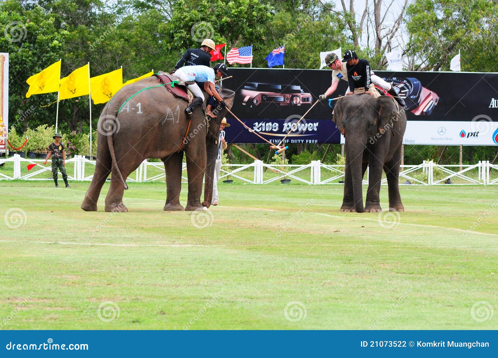 Elephant Polo editorial photography. Image of person - 21073522