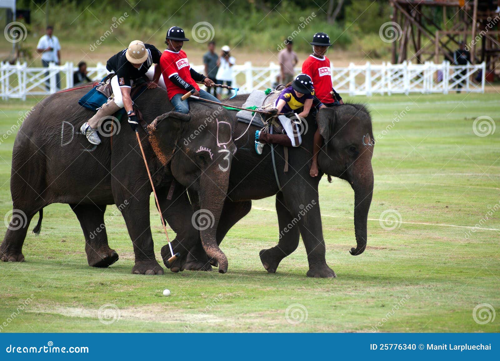 Elephant polo game. editorial image. Image of asia, polo - 25776340